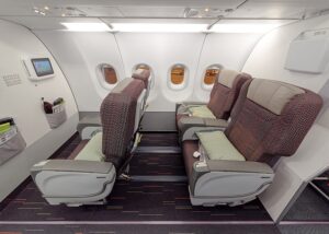 Airplane Bassinet: A Guide for Traveling with Infants – Flying With A ...